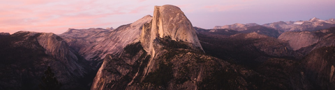 使用 TensorFlow Object Detection API 训练自定义目标检测模型 - 知乎