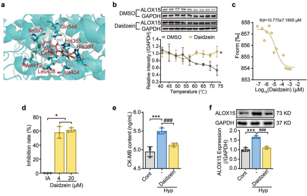 STTT（IF=38）| 提出新的论点！发现磷脂过氧化增加了缺血性心肌损伤中铁死亡的易感性 - 知乎