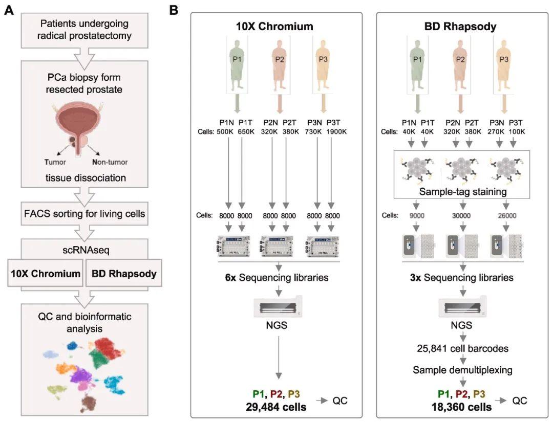 全转录组单细胞测序对比：10X Chromium vs. BD Rhapsody - 知乎