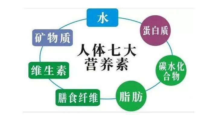 人体必需的七大营养素有哪些？ 知乎
