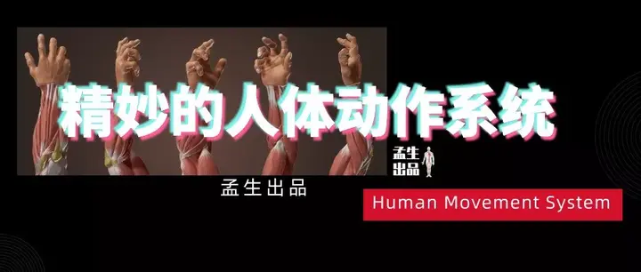 精妙的人体动作系统 HBS Human Movement System - 知乎