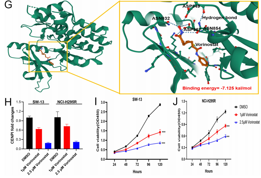 关于 TCGA 和 GTEx 联合分析单基因的泛癌表达是怎样的？ - 知乎