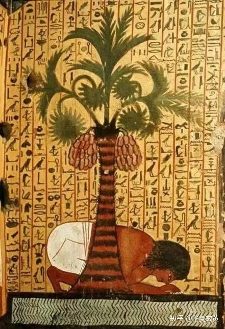 古埃及动植物 - 知乎