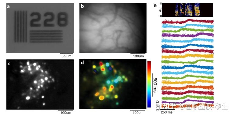 SPM / SEM / TEM / FIB这四种显微镜的区别是什么？ - 知乎
