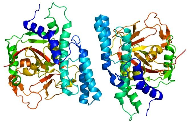野生型和基因工程改造的MMLV逆转录酶之使用体验 - 知乎