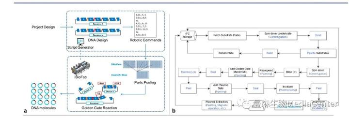 合成生物技术的新基建 | biofoundry(生物铸造厂)——MIT-Broad Foundry、iBioFab - 知乎
