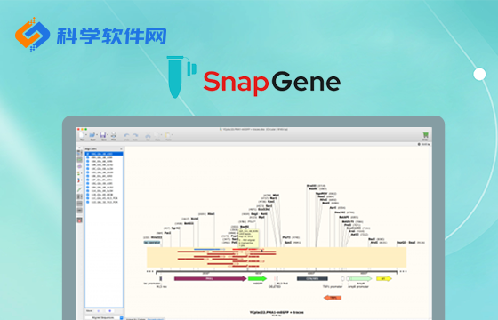 如何激活并管理SnapGene许可证 - 知乎