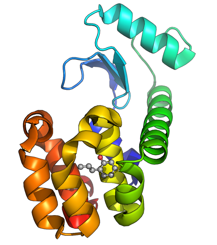 GROMACS教程2：蛋白-配体复合物（Protein-Ligand Complex） - 知乎