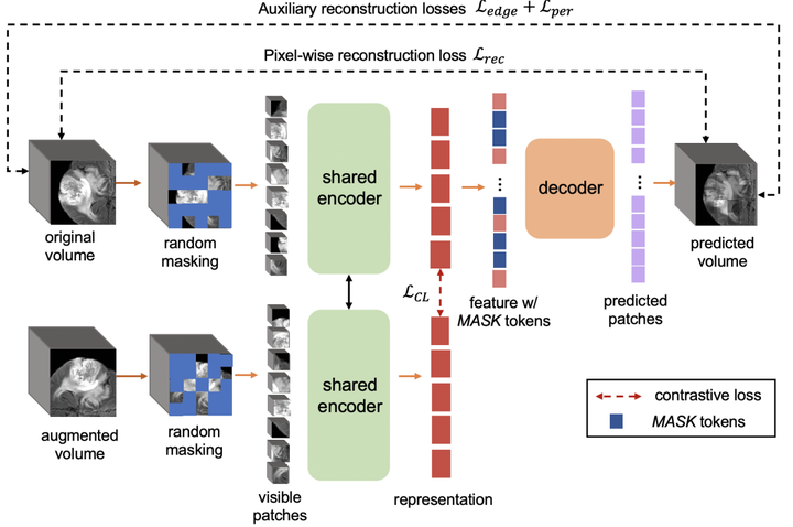 ViT-AE++：改进自监督医学图像表示的视觉Transformer自编码器 - 知乎