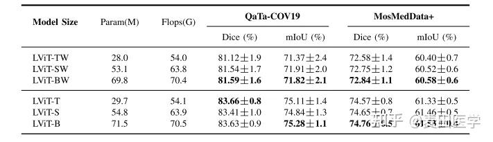 LViT: 语言与视觉Transformer在医学图像分割中的应用| 文献速递-深度学习结合医疗影像疾病诊断与病灶分割 - 知乎