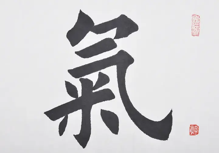 中医药上说气，到底指的是什么？ - 知乎