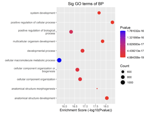 5fC DNA甲酰基胞嘧啶测序 - 知乎