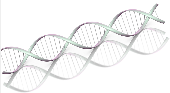 Creo 双螺旋DNA阵列教程 - 知乎