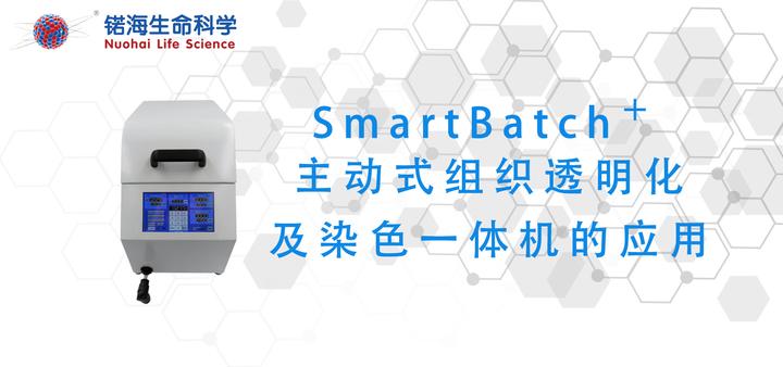 SmartBatch+ 主动式组织透明化及染色一体机的应用 - 知乎