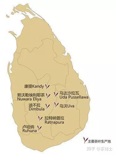 红茶介绍——斯里兰卡篇 - 知乎