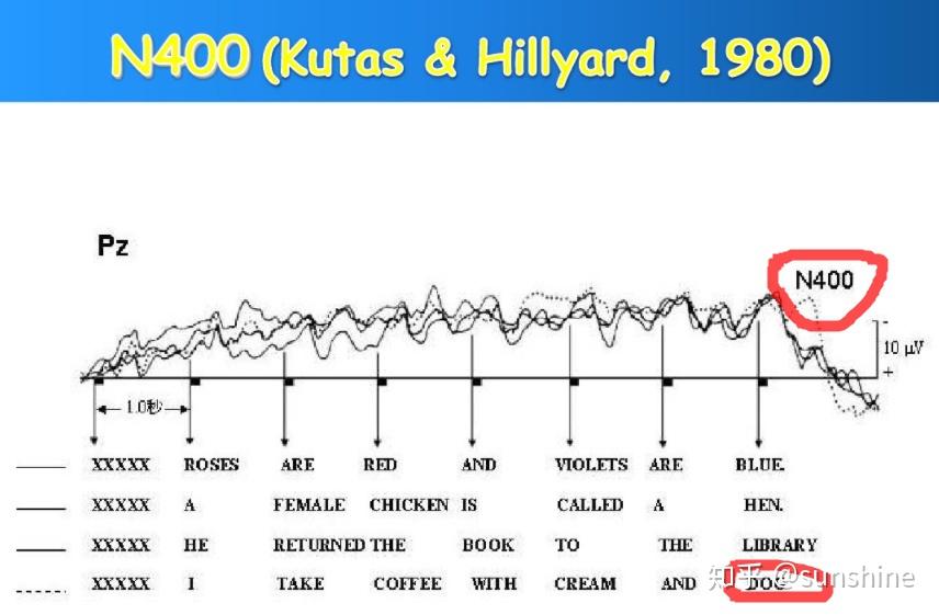 ERP成分（N1/P2/N400） - 知乎