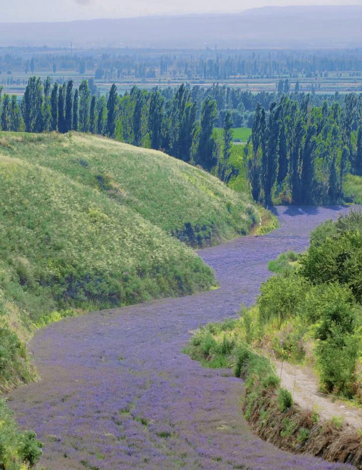 地学软件|ENVI下载安装 - 知乎