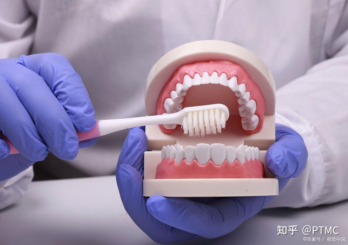 为什么小朋友也要做PMTC?-PEMEGE贝美吉 - 知乎