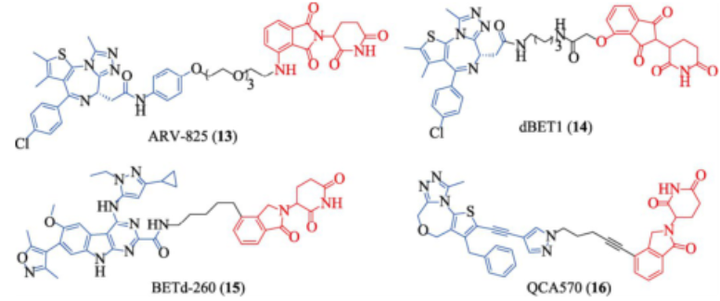 ARV-825,ZXH-3-26,dBET6,MZ 1,Vepdegestrant 靶蛋白水解分享 - 知乎