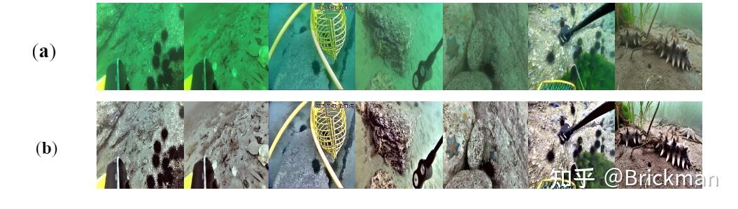 文献阅读：An Improved YOLOv5-Based Underwater Object-Detection Framework ...