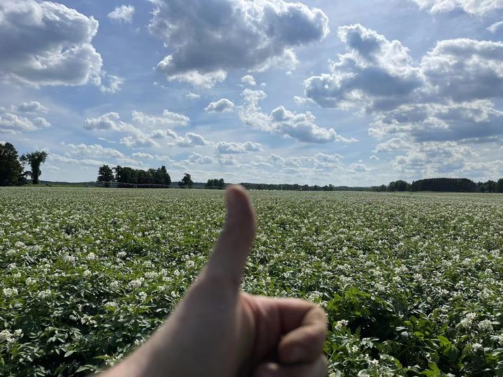 Springer Nature - 知乎