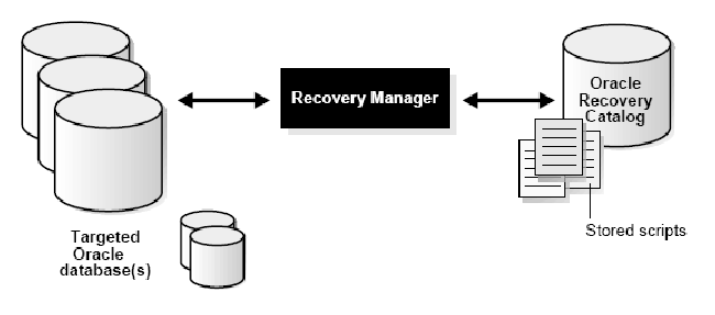Oracle RMAN(Recovery Manager) – 体系结构 - 知乎