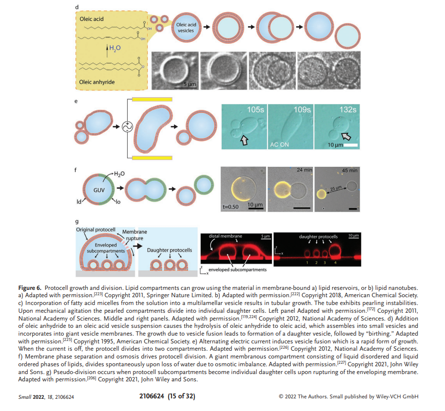 人类制造最简单的细胞的难度加人类制造最智能的电脑的难度是否等于最简单的细胞制造最智能的电脑的难度？ - 知乎
