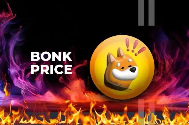 重大上市公告公布后，BONK 价格上涨 7% - 知乎