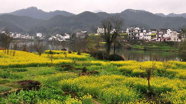 GDP：国际经济发展指标开始跌落神坛的关键原因 - 知乎