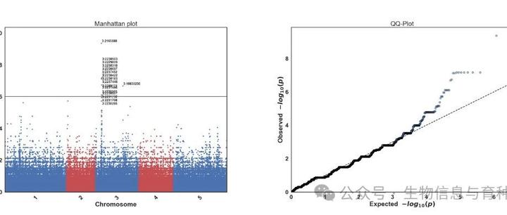 vcf2gwas：简化全基因组关联分析 - 知乎