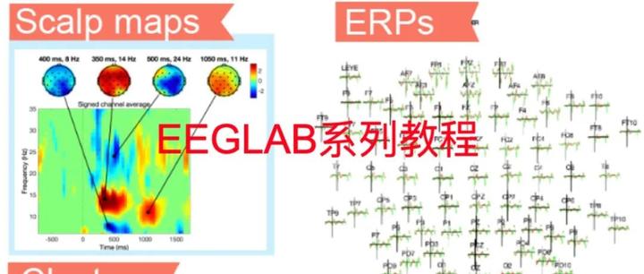 EEGLAB系列教程3：在 EEGLAB 中建立location - 知乎