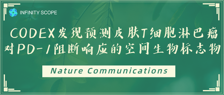 Nat Commun | CODEX——SpatialScore预测皮肤T细胞淋巴瘤对PD-1阻断响应的空间生物标志物 - 知乎