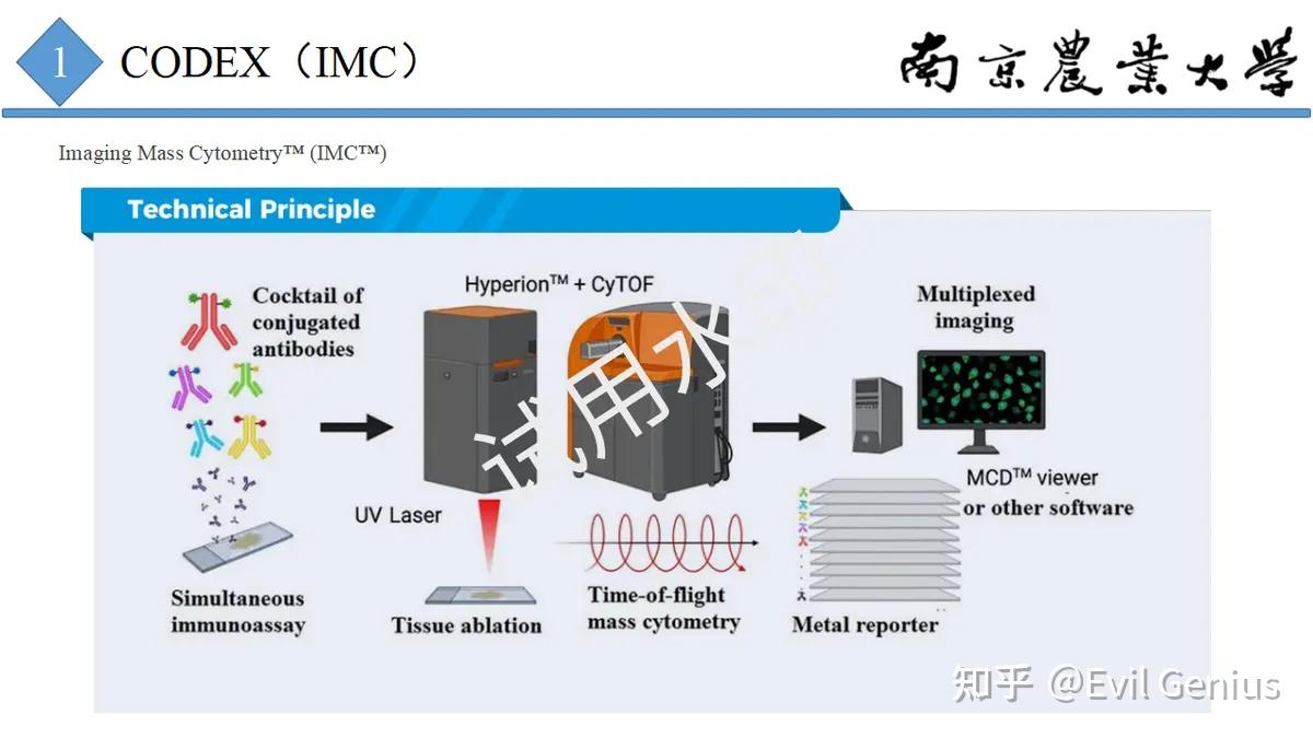 第26课PPT--CODEX（IMC、mIHC）基础分析梳理 - 知乎