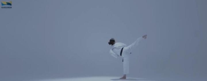 WT-TKD入段品势（高丽-一如）动作备忘清单 - 知乎