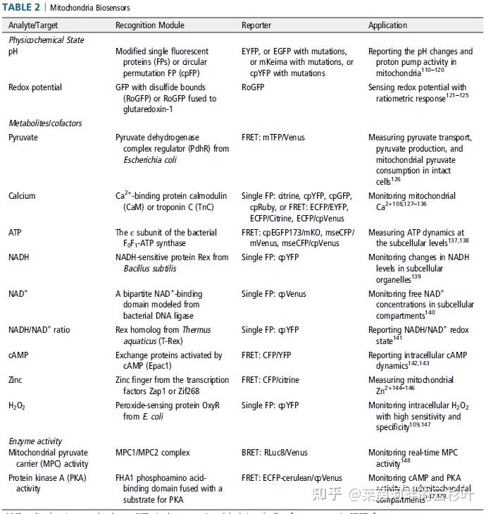文献笔记：Method —— 线粒体代谢 Part 1 - 知乎