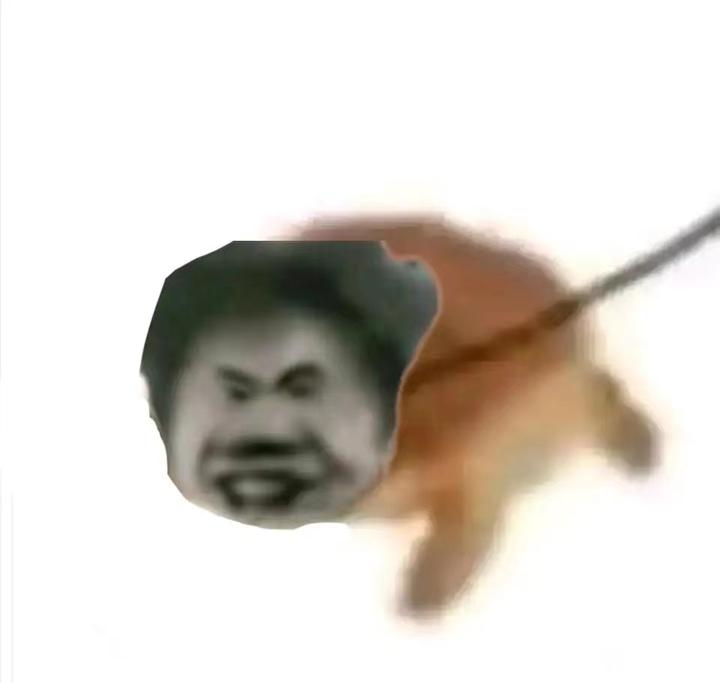 ikun开团段子合集最新版 - 知乎