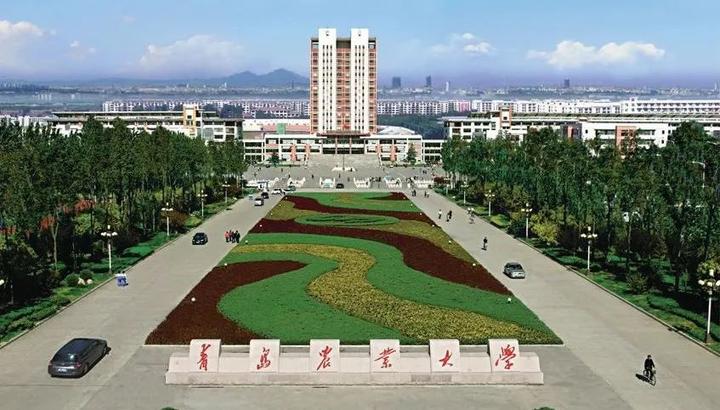 2023青岛农业大学MPAcc择校分析（新增） - 知乎