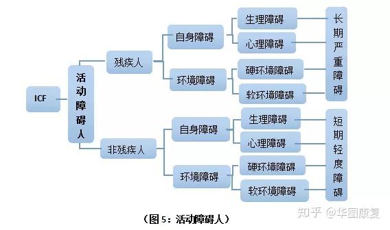 康复科学的理论支撑——ICF - 知乎