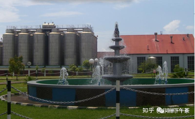 舌尖上的埃塞俄比亚（八）-啤酒 - 知乎