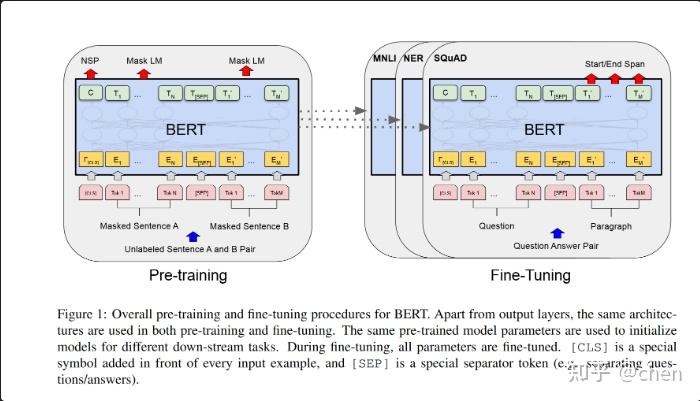 BERT: Pre-training of Deep Bidirectional Transformers for Language ...