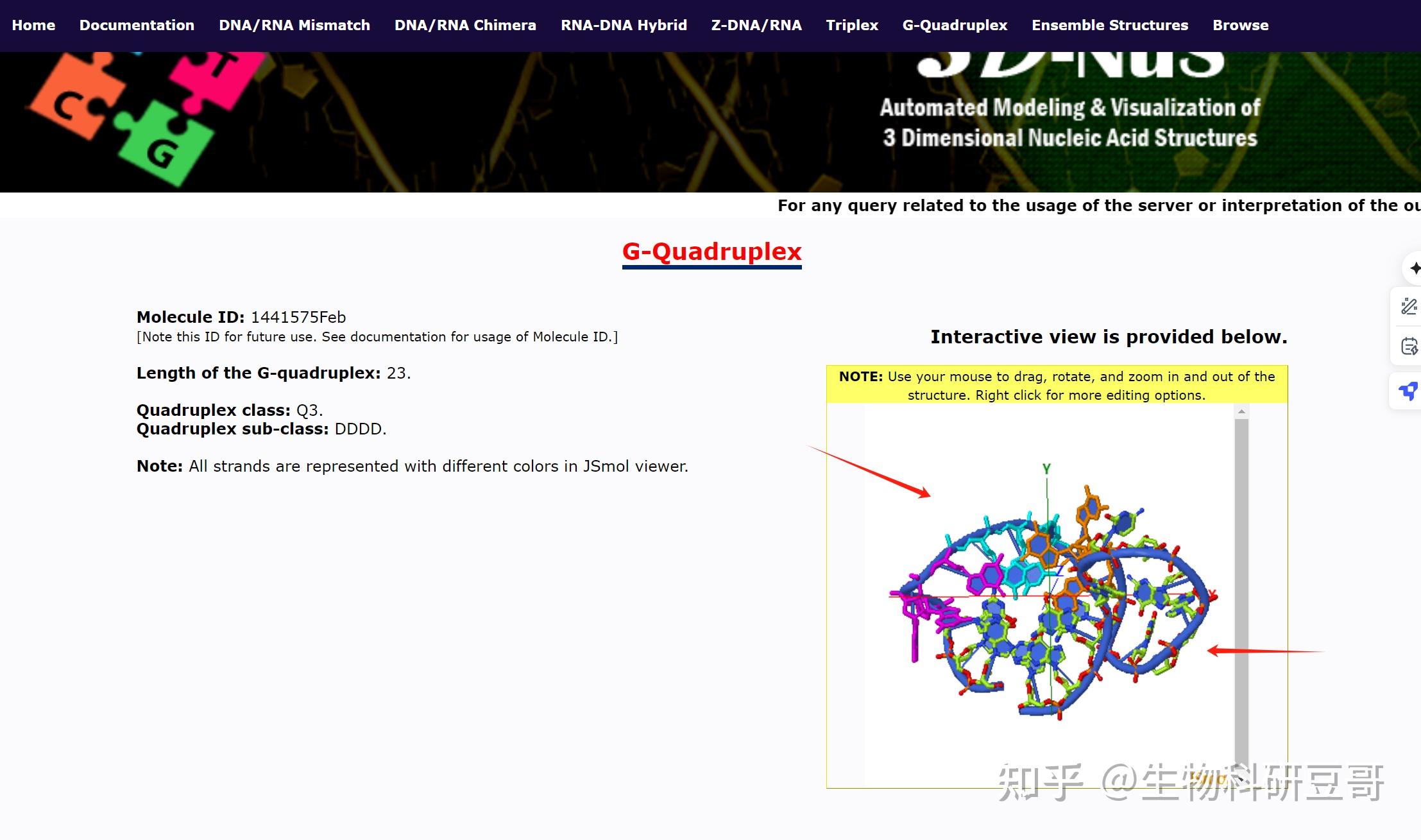 根据DNA序列预测G-四链体3D结构？Predict the 3D structure of G-quadruplex (G4 ...