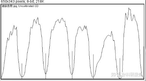实验技能 | 如何用ImageJ处理WB条带 - 知乎