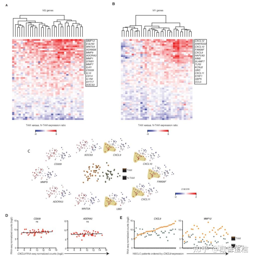 值得一看！联合思路分析：肿瘤相关巨噬细胞 - 知乎