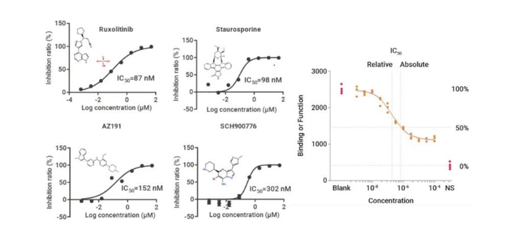 蛋白激酶的IC50检测及Graphpad作图 - 知乎