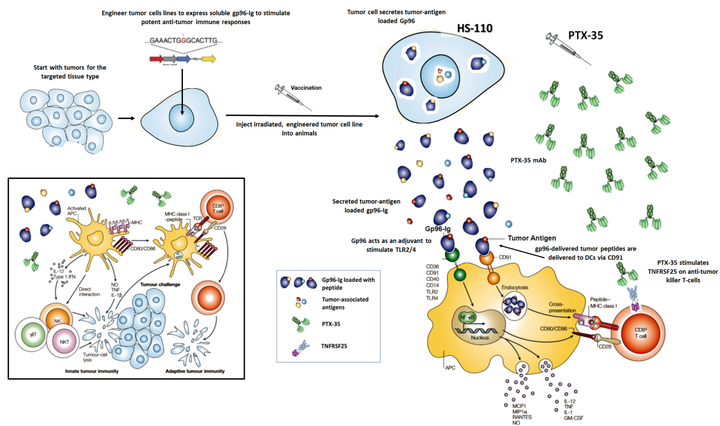 药靶细胞模型---TL1A/DR3细胞筛选模型 - 知乎
