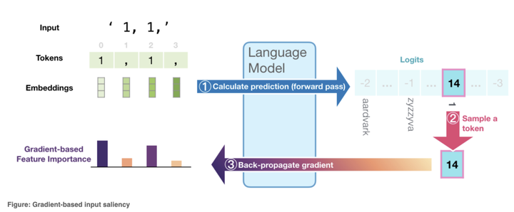 Jay Alammar大神更文！Transformer语言模型的解释性探究 - 知乎