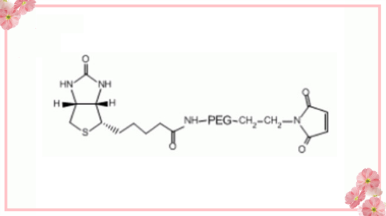 Biotin-PEG-MAL，Maleimide-PEG-Biotin，生物素聚乙二醇马来酰亚胺 - 知乎