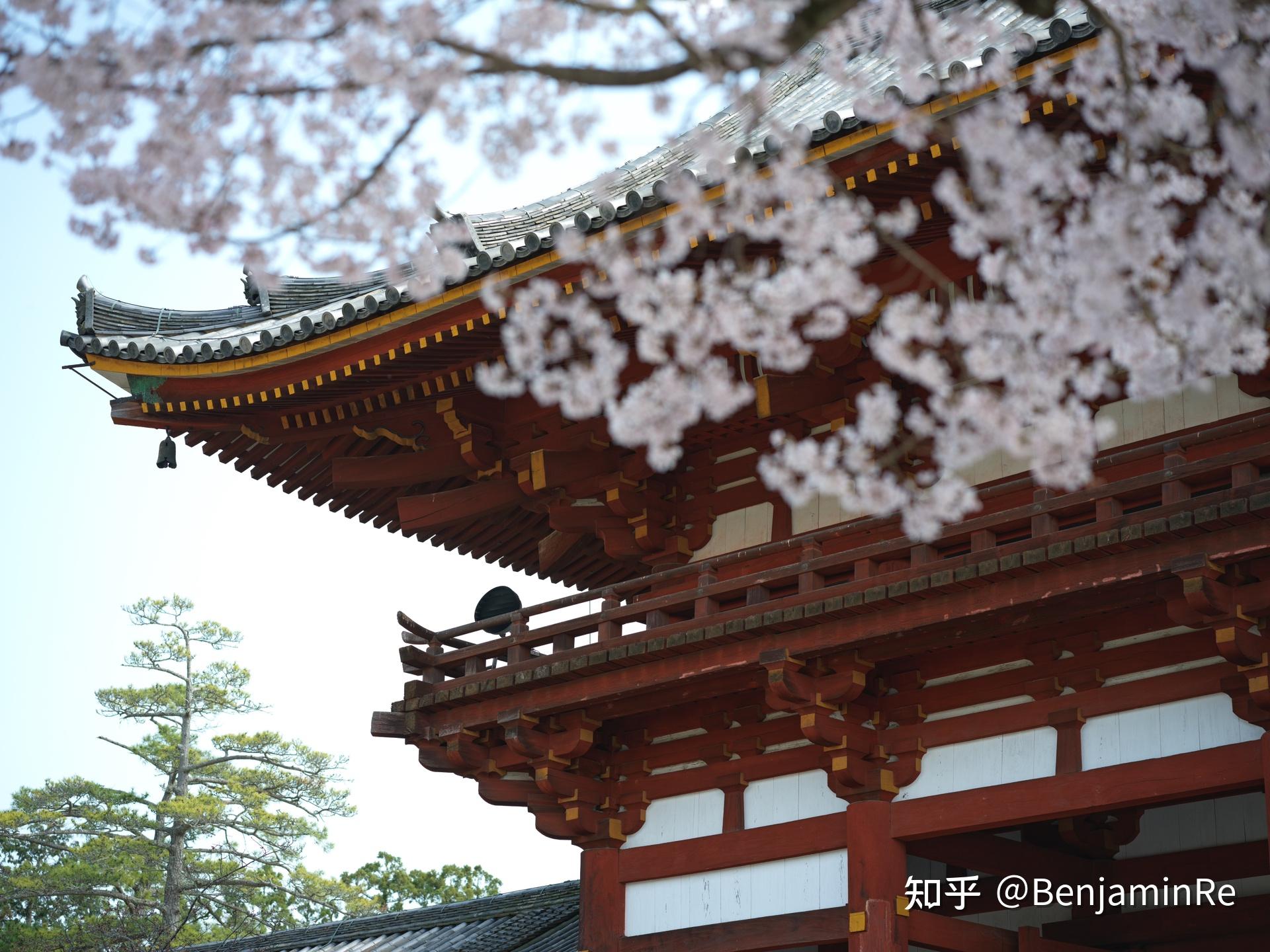 哈苏xcd和xcd v镜头使用起来有啥区别? - 知乎