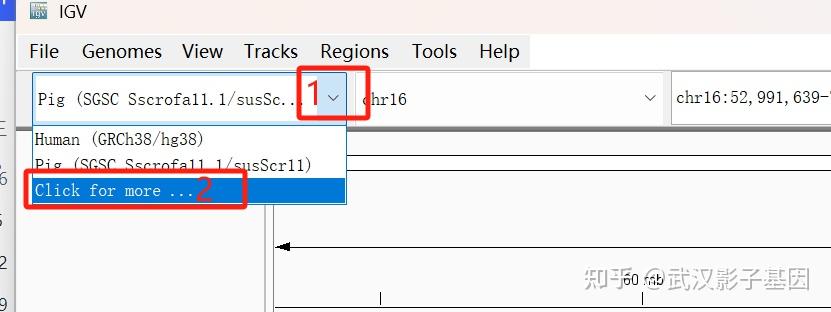 IGV使用教程（图文） - 知乎