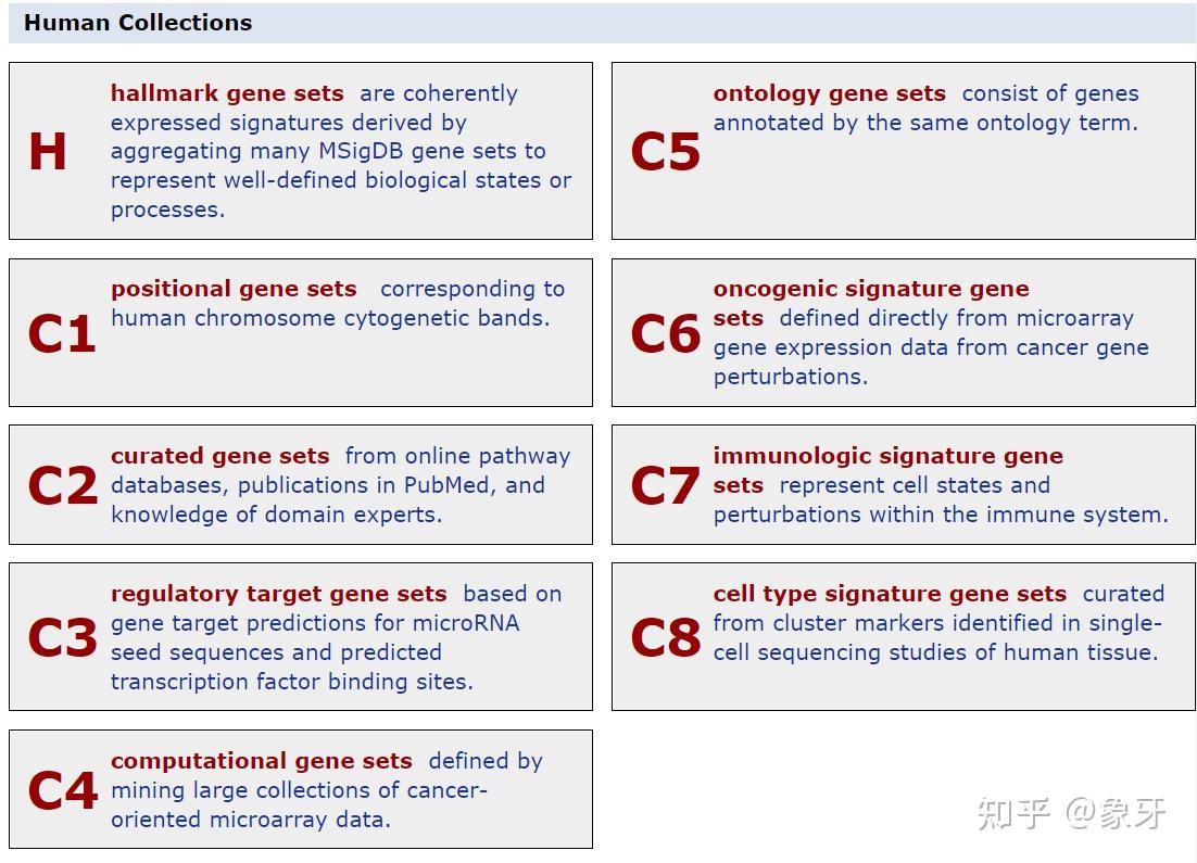 MSigDB与基因富集 - 知乎